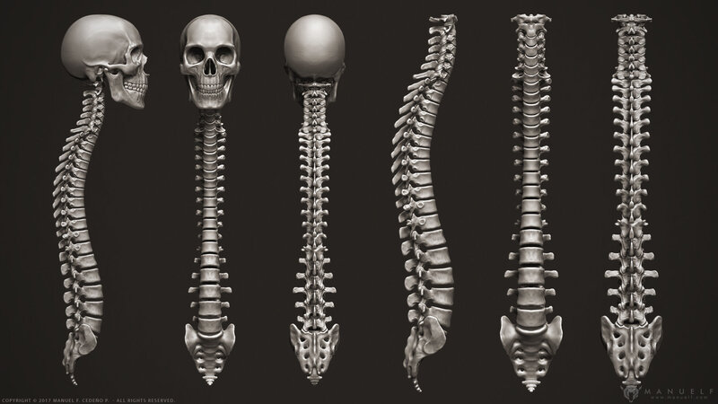 3D Human Skeleton 3D model